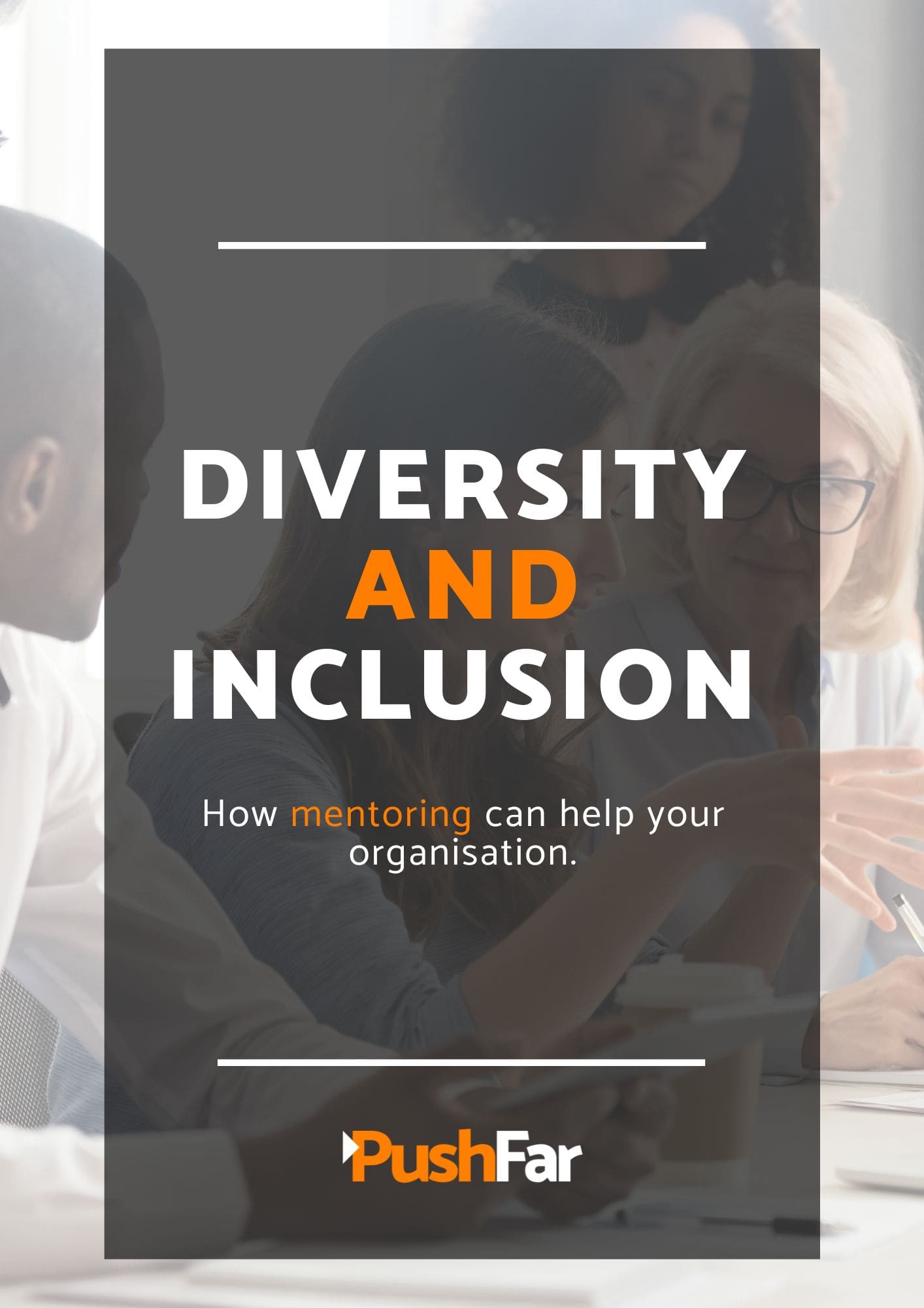 PushFar Mentoring Software